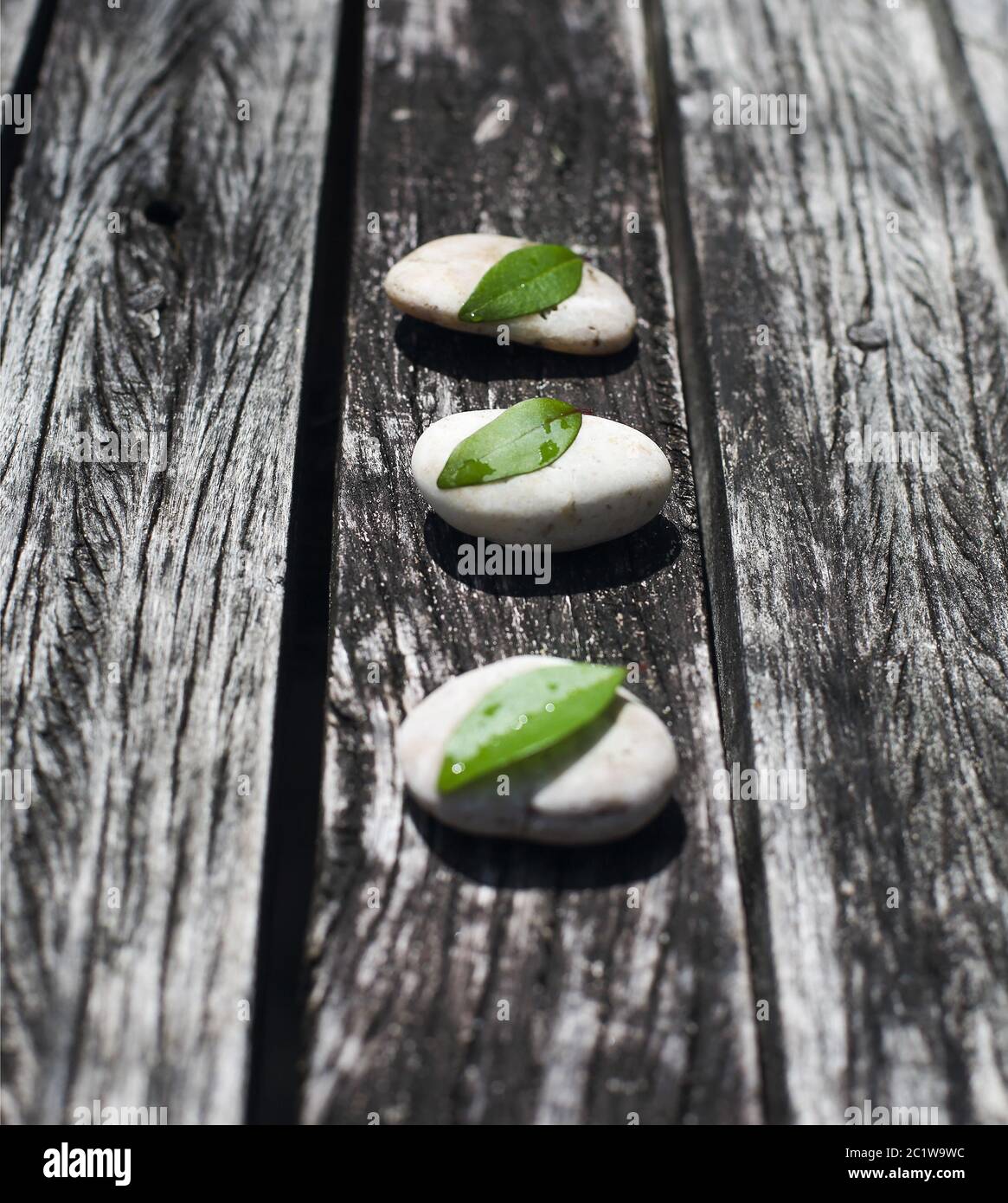 Zen wooden background with grey stones and green leaves Stock Photo - Alamy