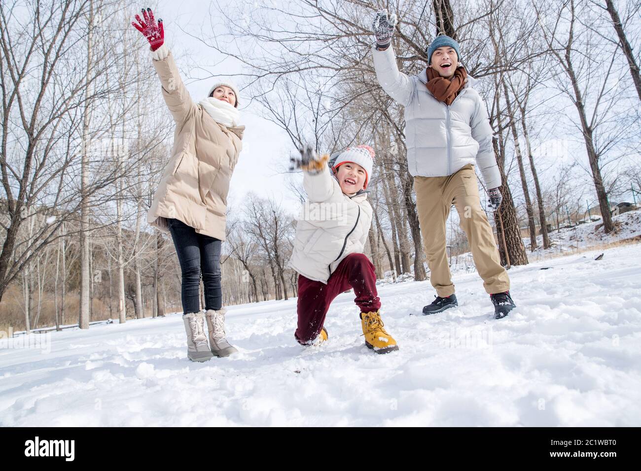 Snowball fights in the happy family Stock Photo - Alamy