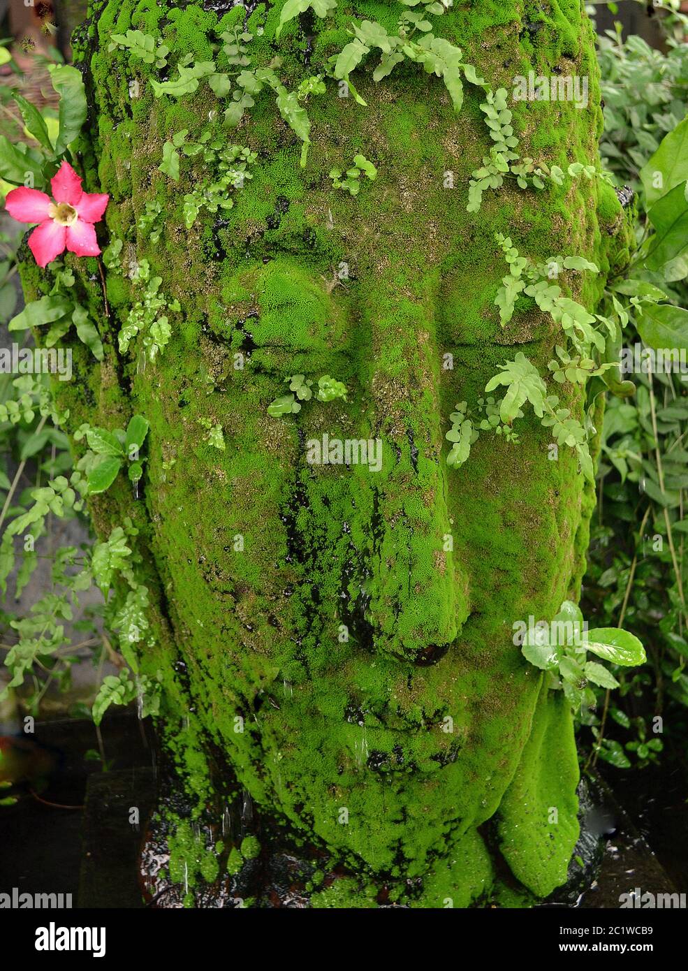 Stone Colossus in the Mountains of Bali Stock Photo - Alamy