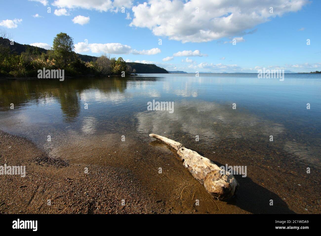 Lake Taupo in New Zealand's North Island. Waihi Scenic Reserve Stock ...