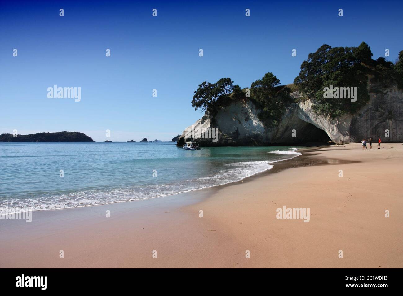 Coromandel beach landscape in New Zealand. Cathedral Cove beach Stock ...