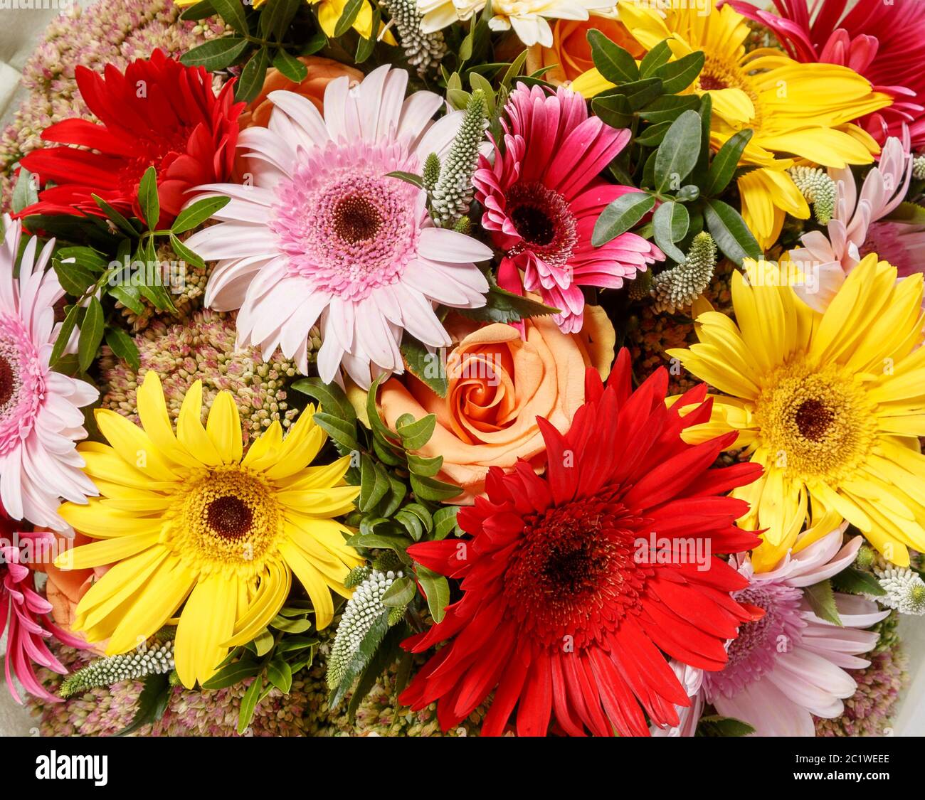 Colourful flower background. Nature background from flowers. Floral ...