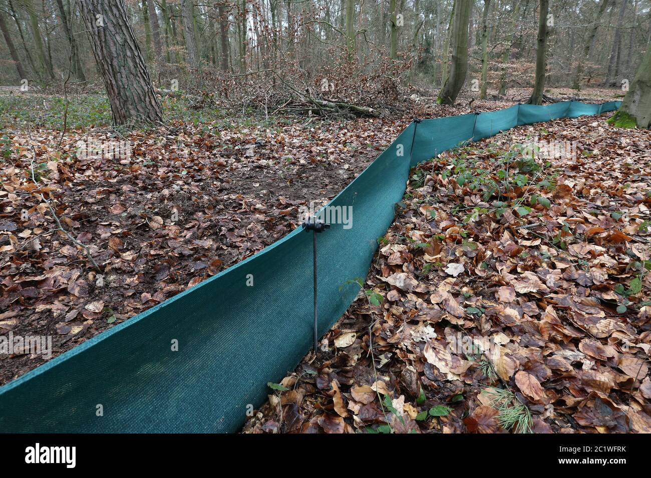 Amphibious fence hi-res stock photography and images - Alamy