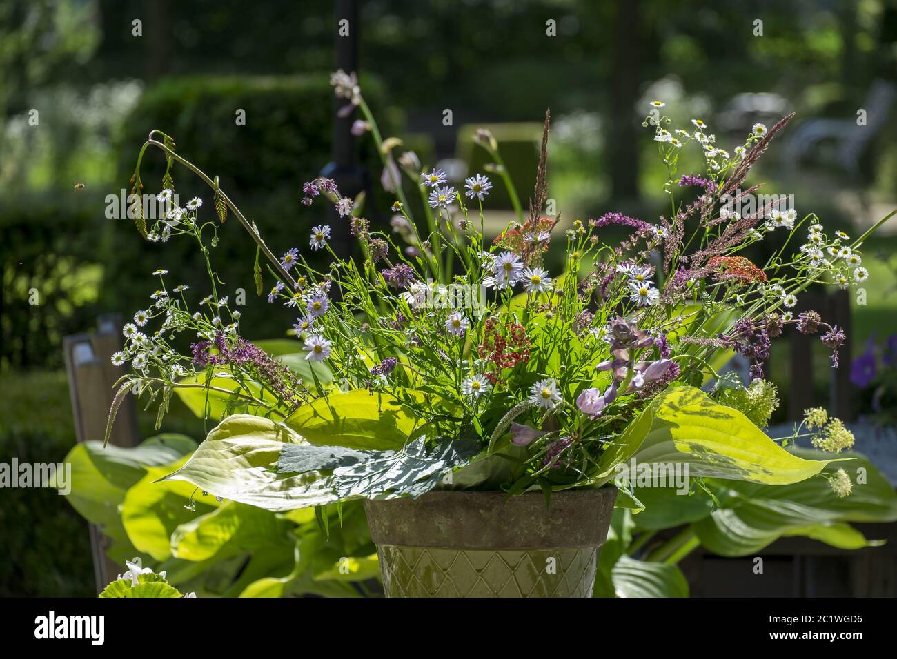Field flower bouquet hi-res stock photography and images - Alamy