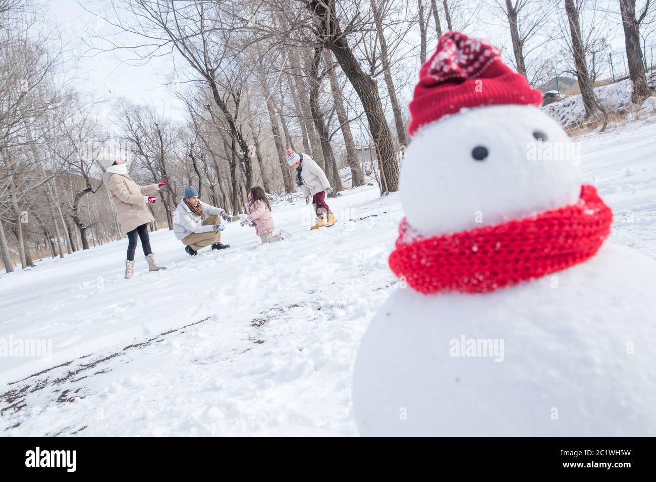 Happy family playing in the snow Stock Photo - Alamy