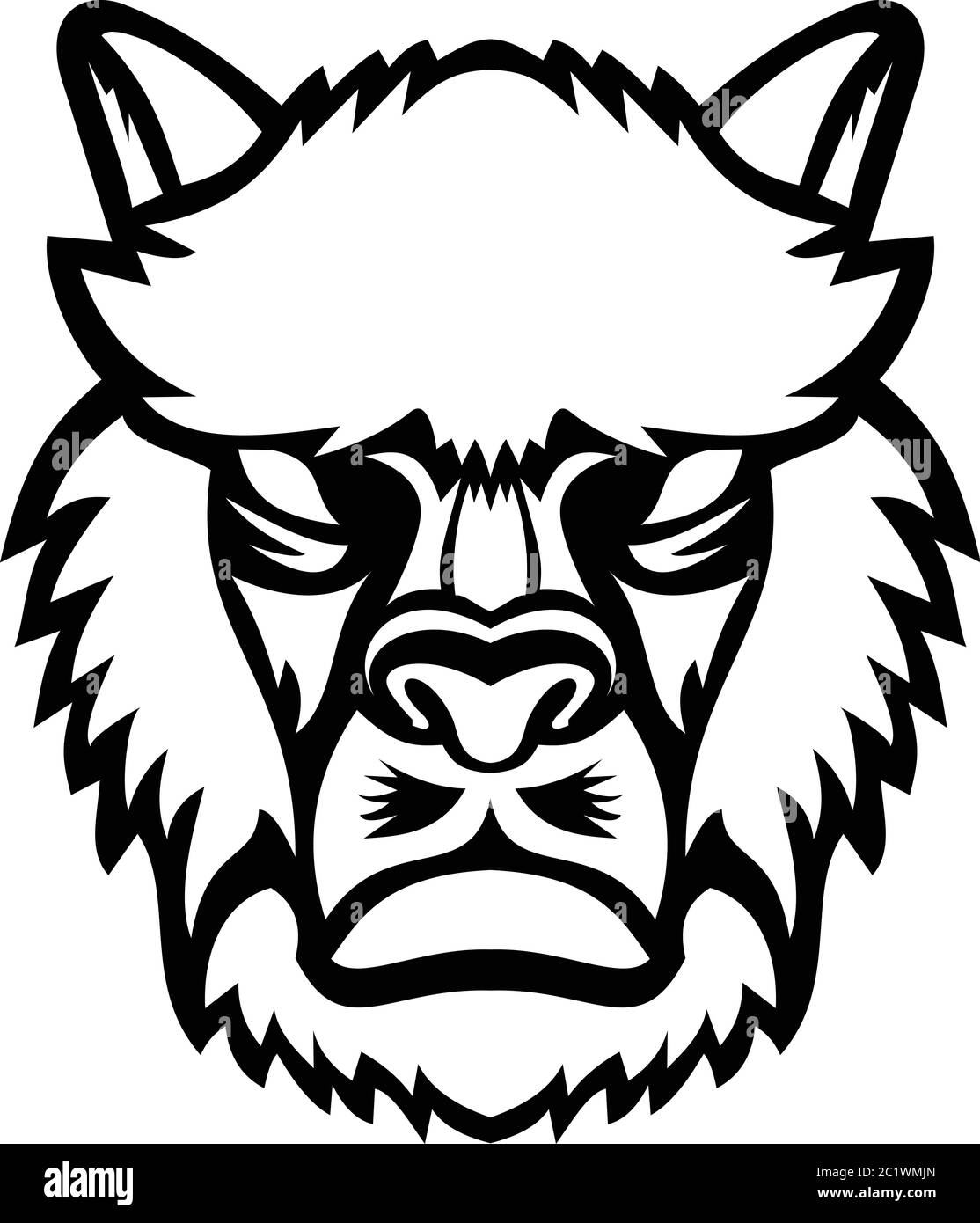 Mascot black and white illustration of head of an angry alpaca (Vicugna ...