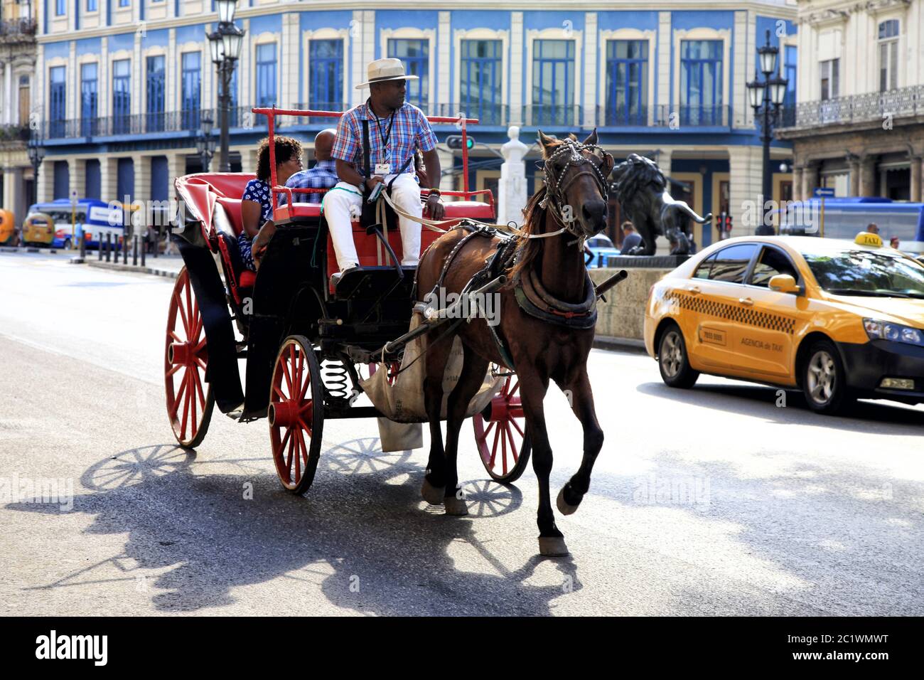 Old cuban horse hi-res stock photography and images - Alamy
