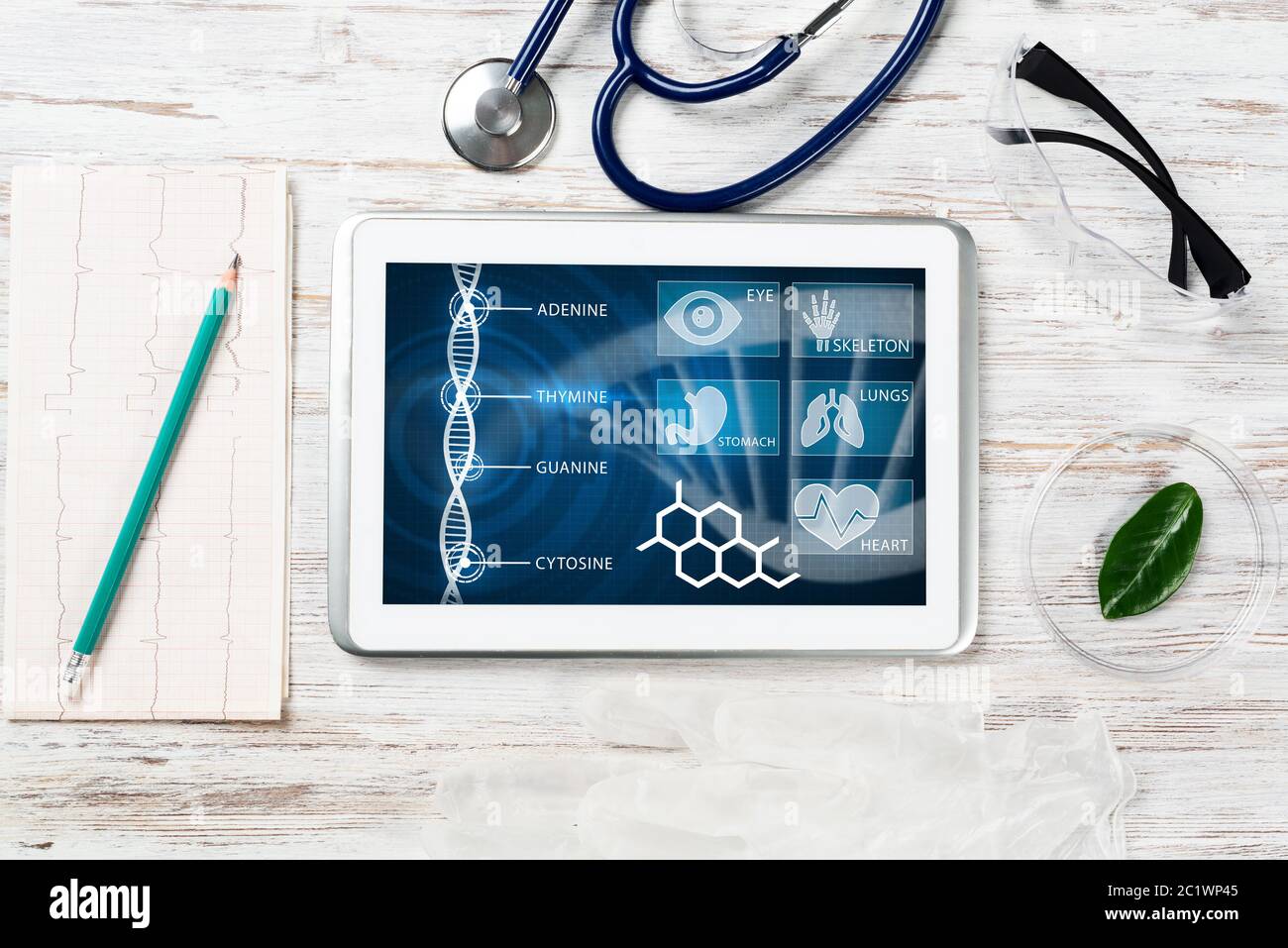 Human genetic research in medical laboratory Stock Photo - Alamy