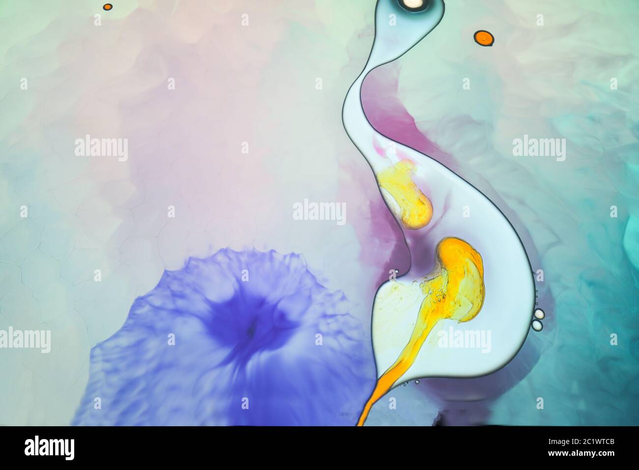 Visual content produced with the lightmotiv projector: organic forms ...