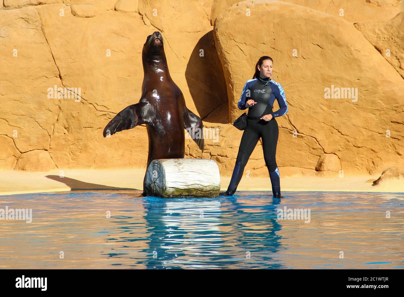 Female zookeeper hi-res stock photography and images - Alamy