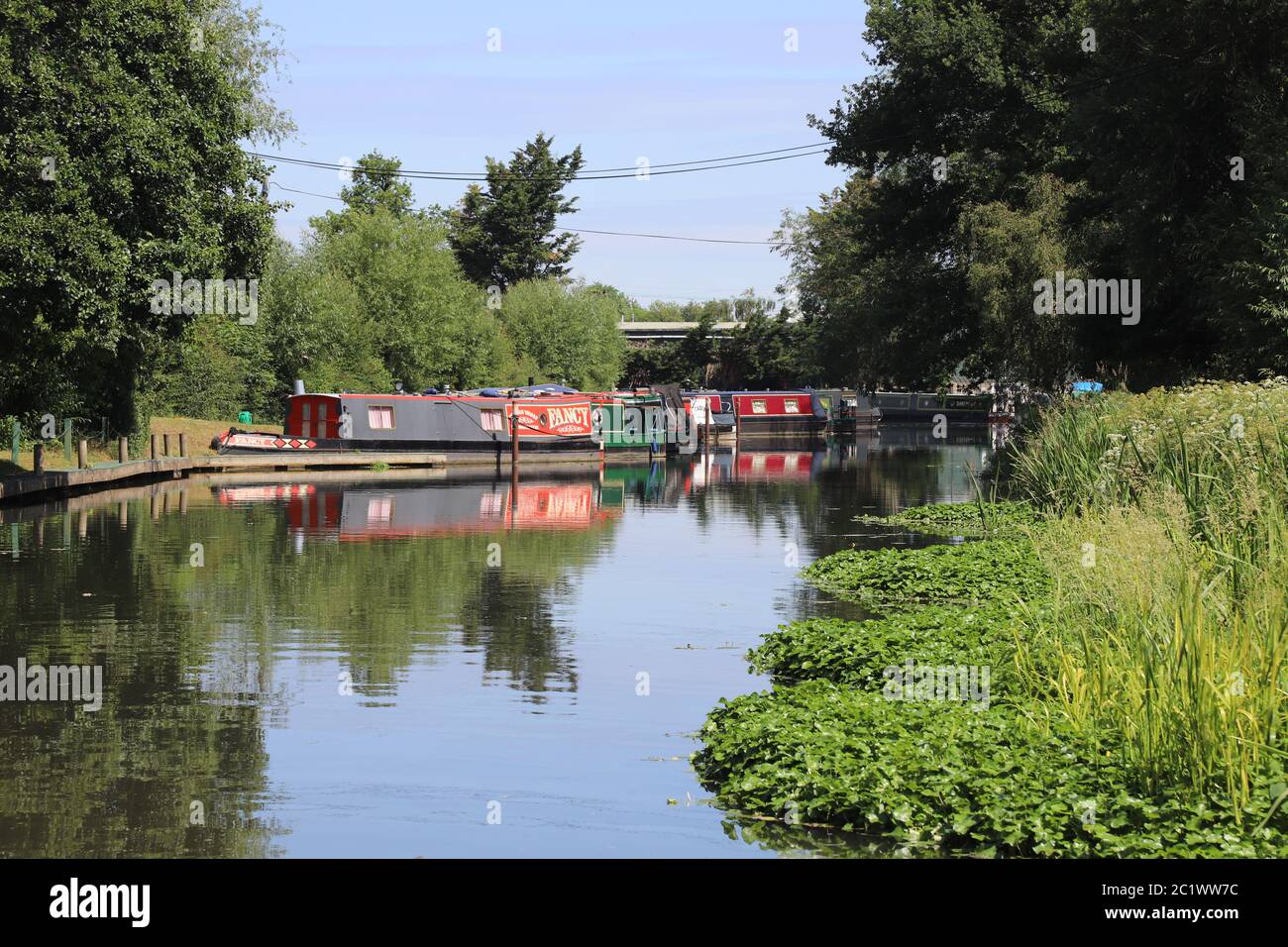 scenic waterway in summer Stock Photo - Alamy
