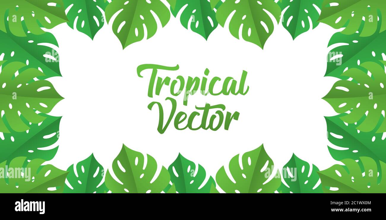 Tropical Vector Background Design Illustration. Tropical leaves Vector ...