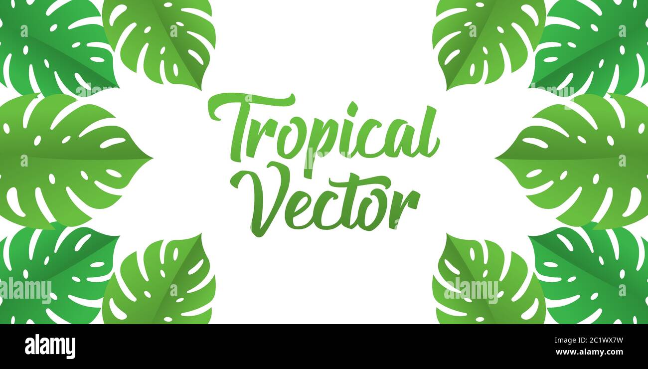 Tropical Vector Background Design Illustration. Tropical leaves Vector ...