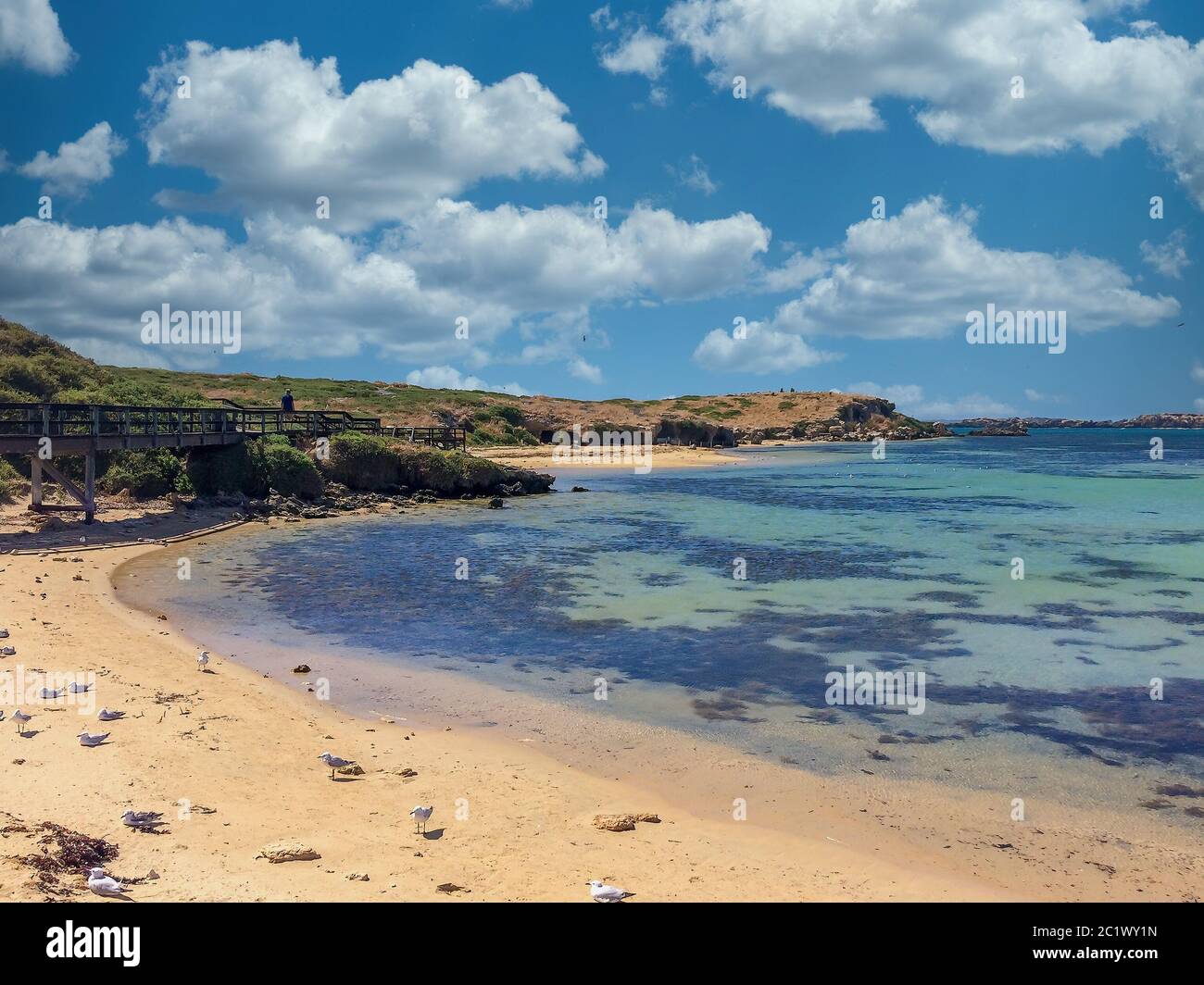 Australian shoreline hi-res stock photography and images - Alamy
