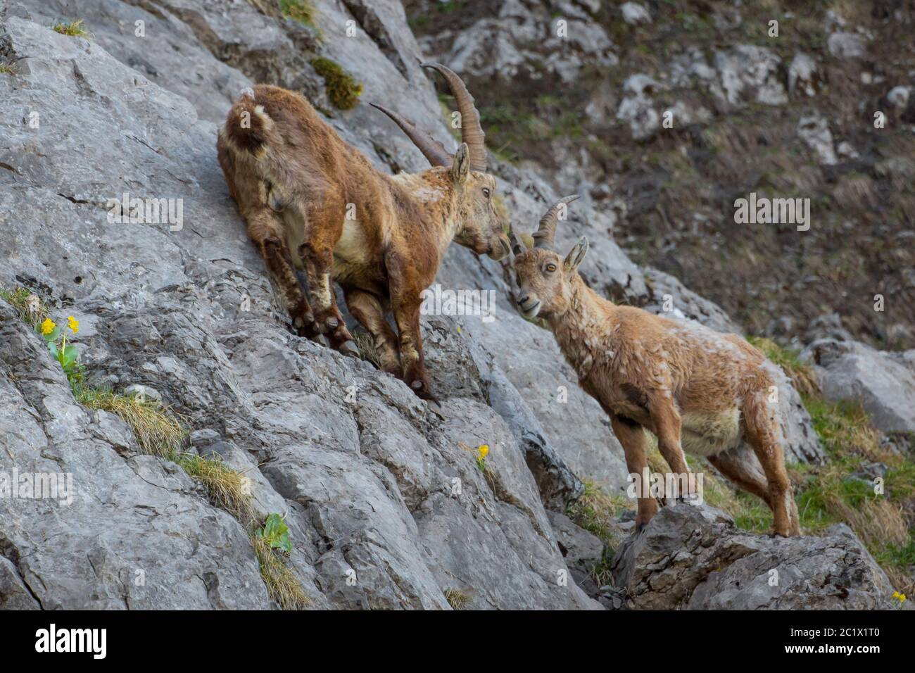 Two rock faces hi-res stock photography and images - Alamy