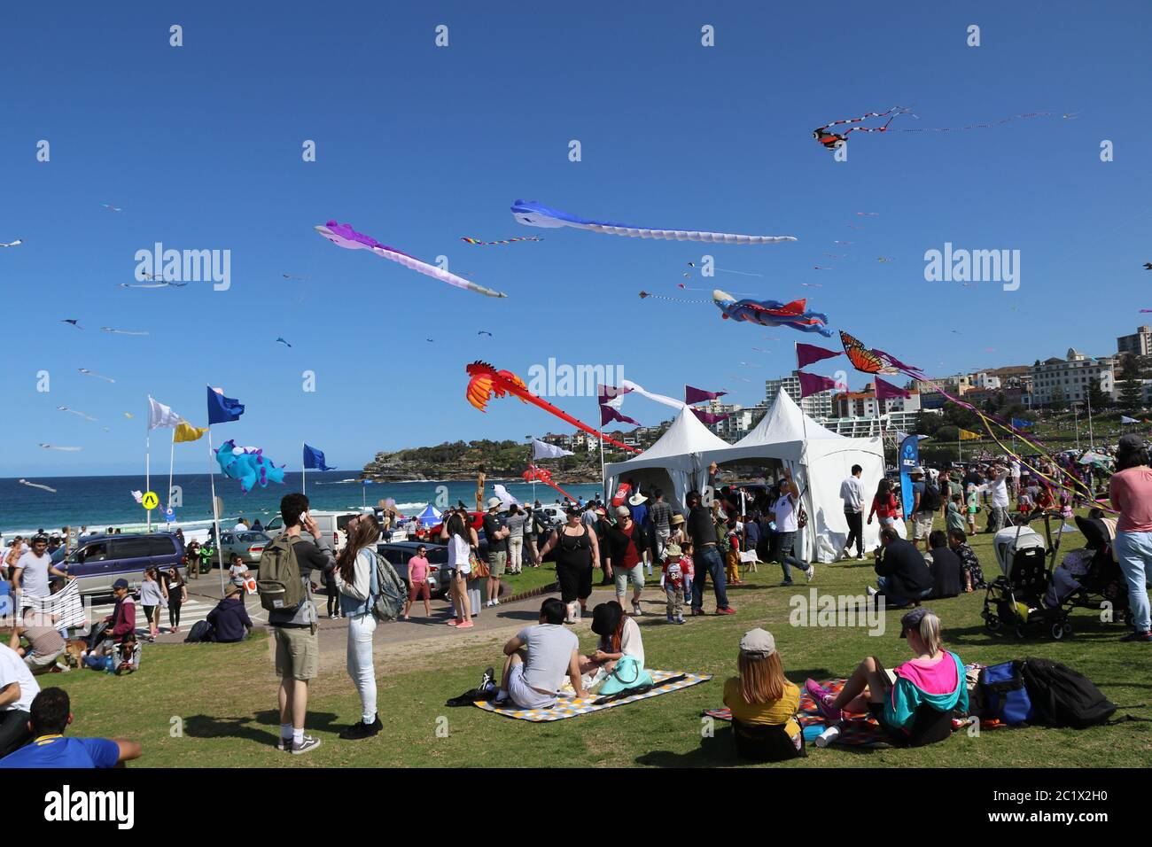 Australia’s largest kite flying festival, the ‘Festival of the Winds ...