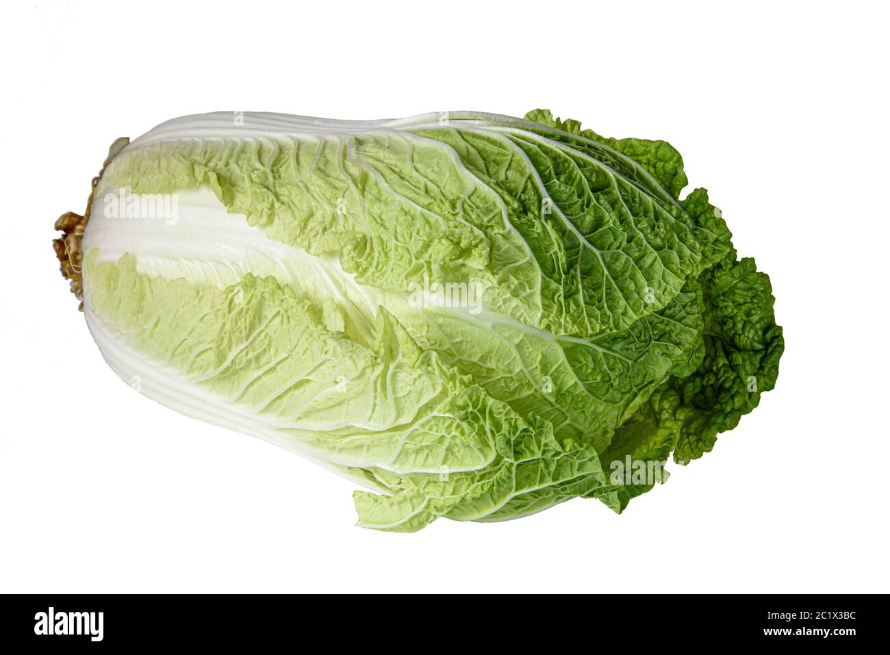 Whole head of Beijing cabbage on white background, isolated close-up ...