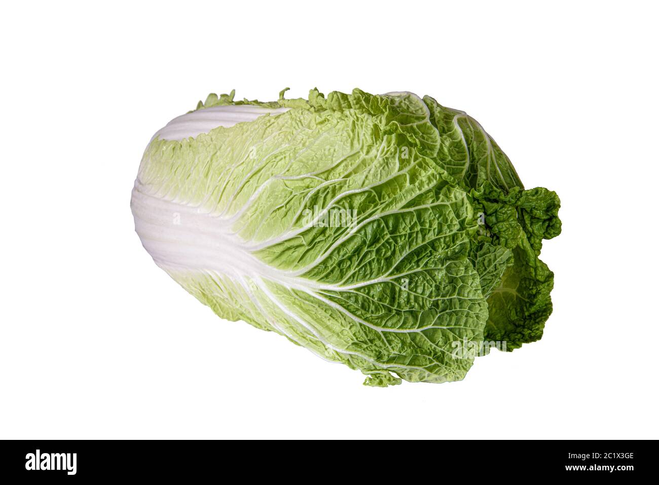 Whole head of Beijing cabbage on white background, isolated close-up ...