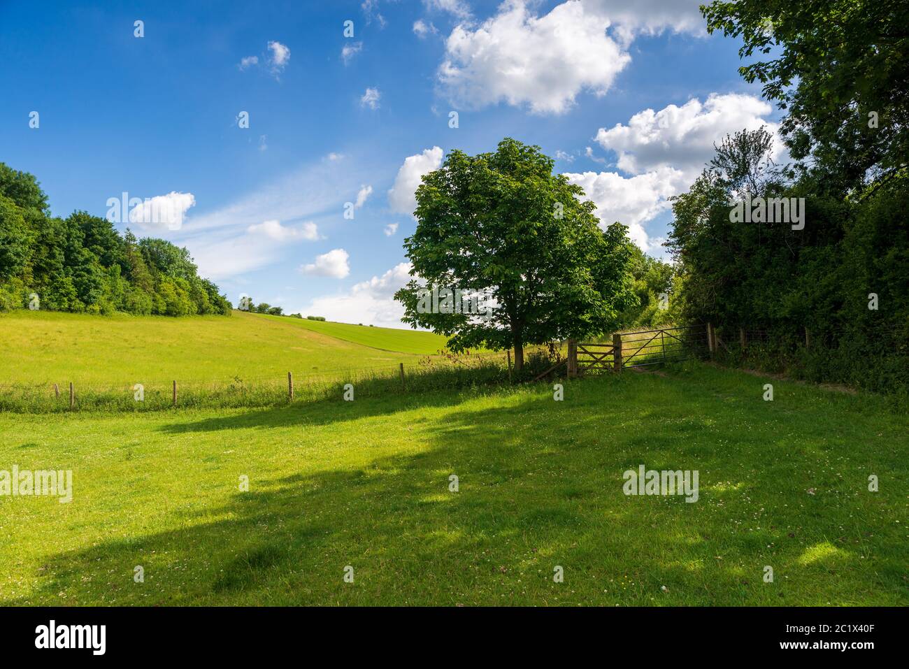 Coombe bisset hi-res stock photography and images - Alamy