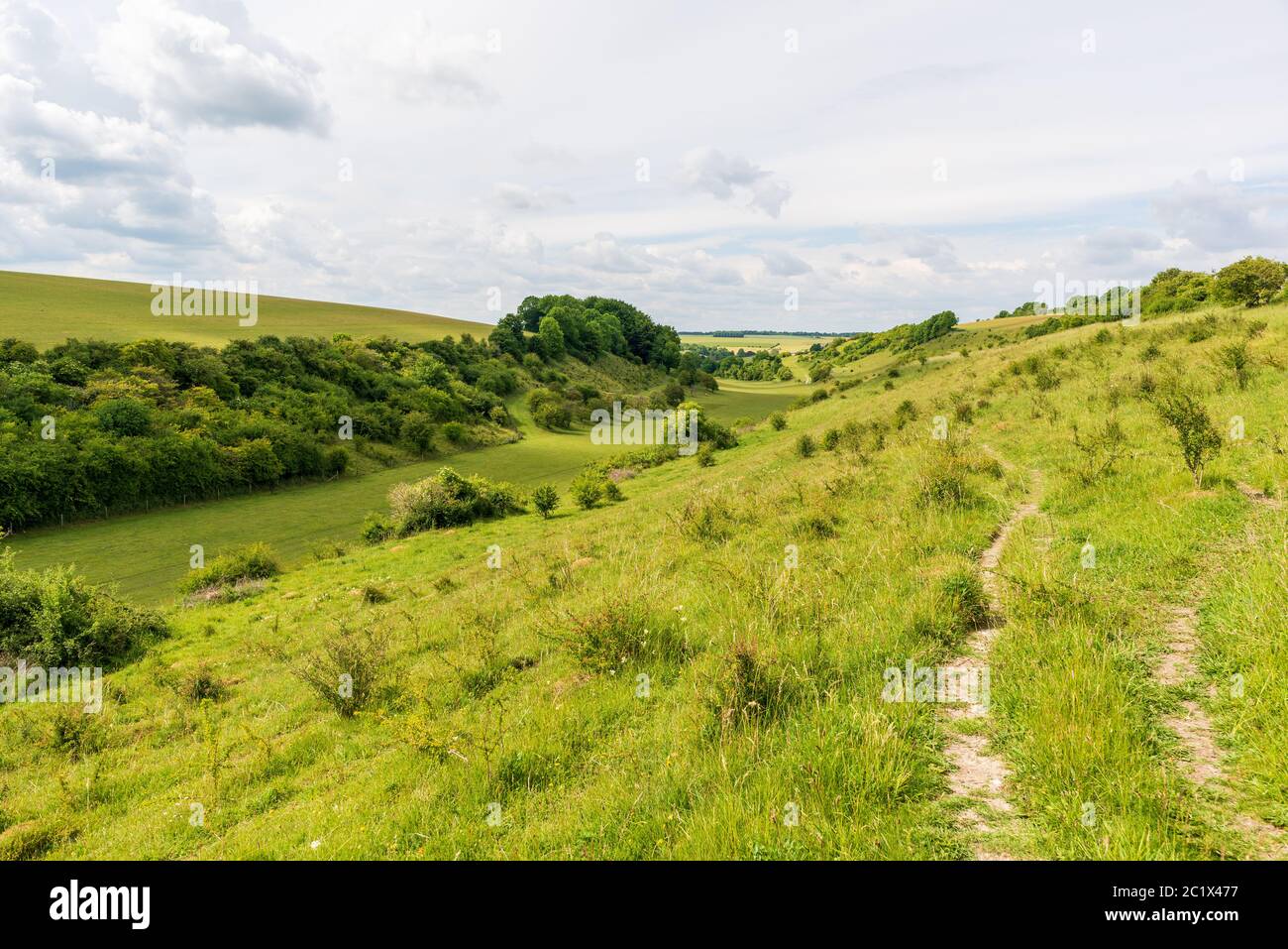Coombe Bisset Down nature reserve, Salisbury, Wiltshire, UK Stock Photo ...