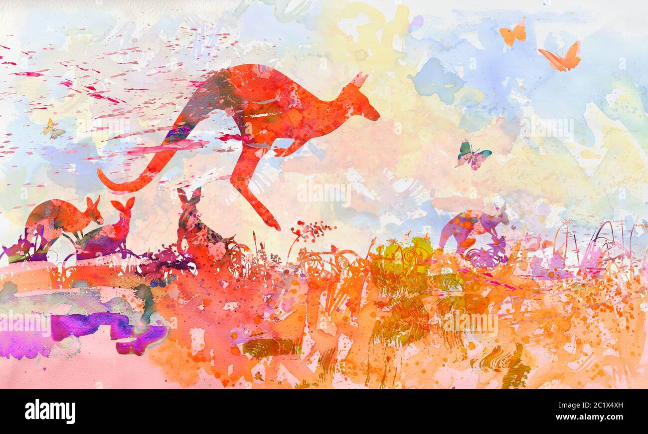 Kangaroo race hi-res stock photography and images - Alamy