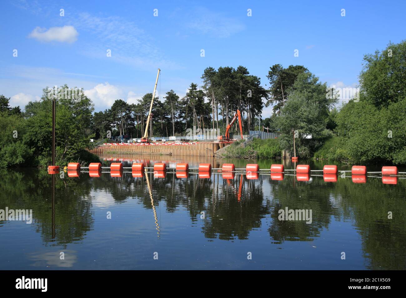 Shad fish uk hi-res stock photography and images - Alamy