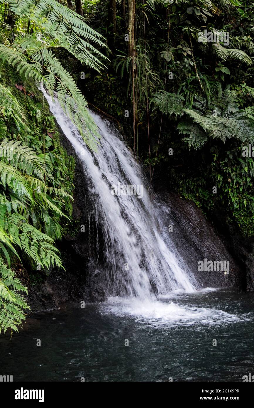 Caribbean Sea - Carbet Waterfalls on Guadeloupe Stock Photo - Alamy