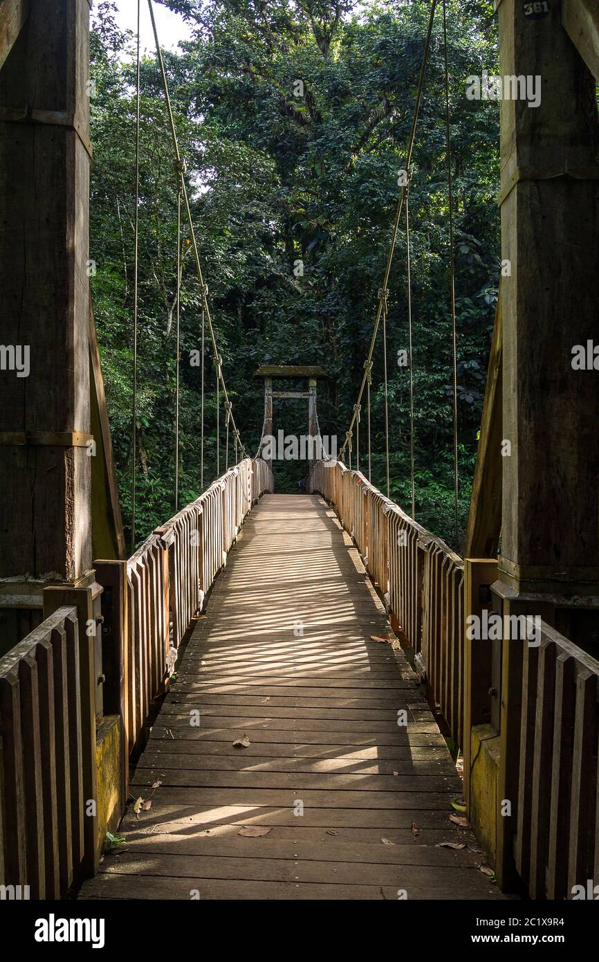 Caribbean Sea - Rainforest on Guadeloupe Stock Photo - Alamy
