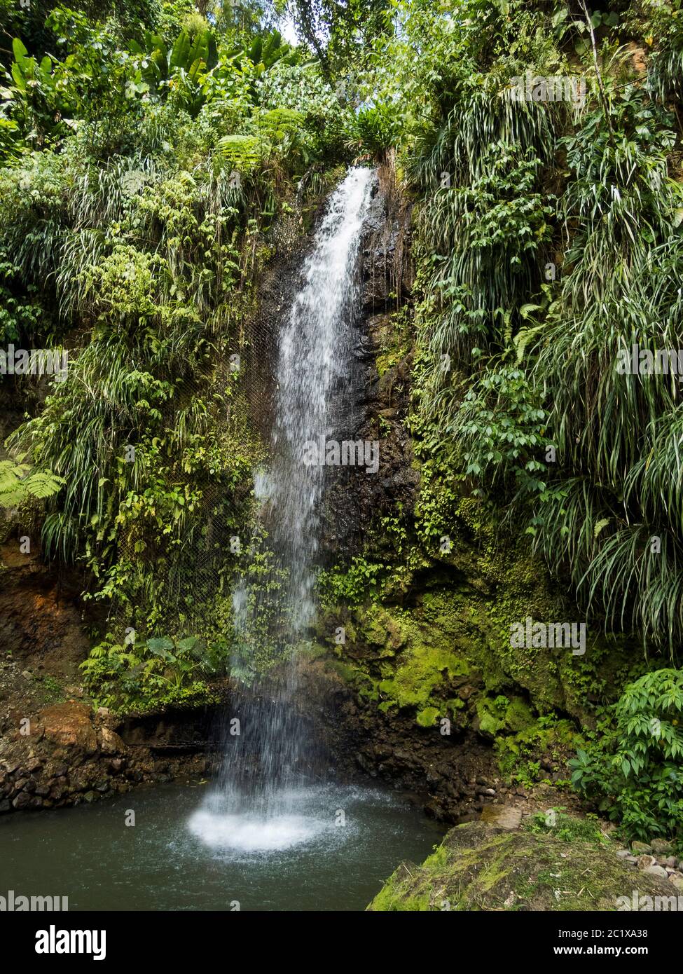 Caribbean - St Lucia, Toraille Waterfalls in the Caribbean Sea Stock ...