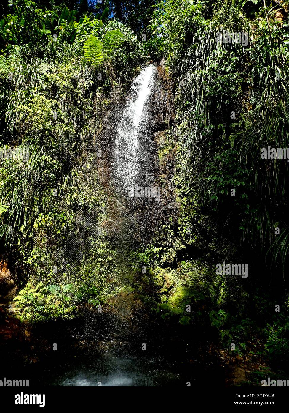 Caribbean - St Lucia, Toraille Waterfalls in the Caribbean Sea Stock ...
