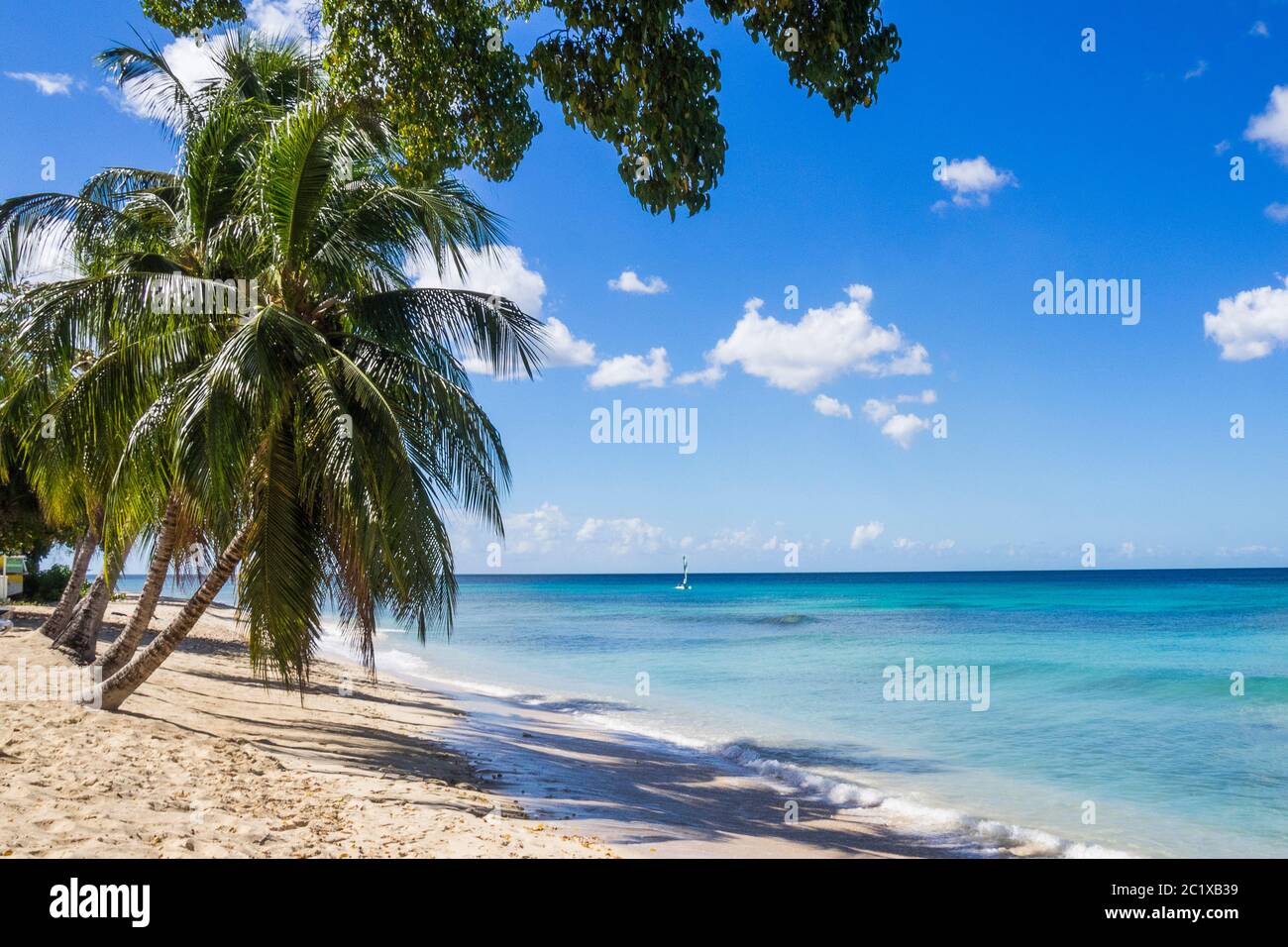 Barbados waterfall hi-res stock photography and images - Alamy