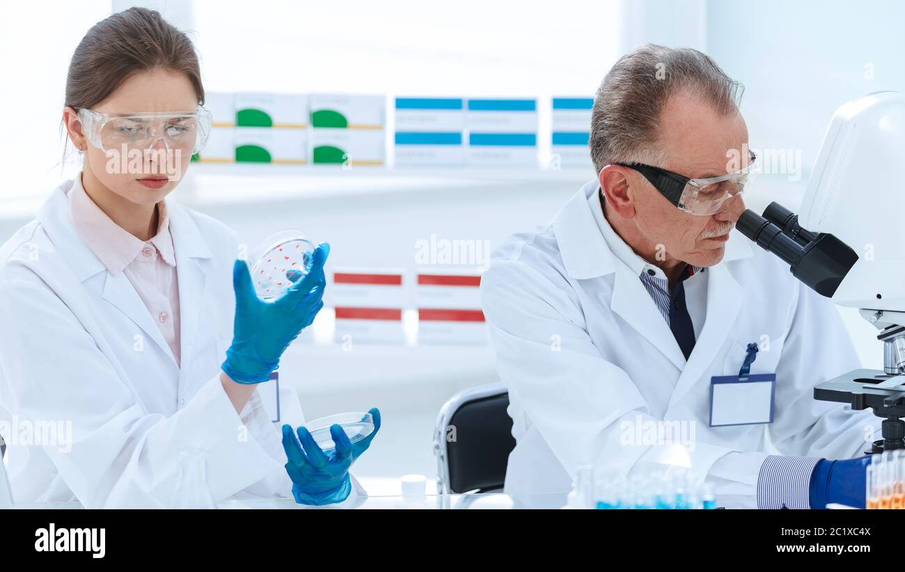 Scientists work research in laboratory hi-res stock photography and ...