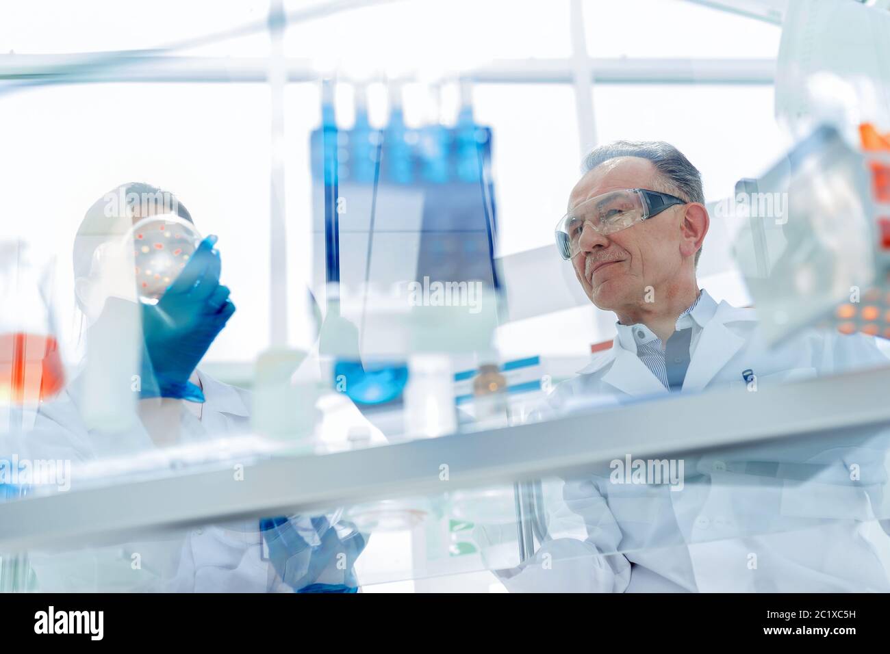 Laboratory scientist dispenser in hands hi-res stock photography and ...