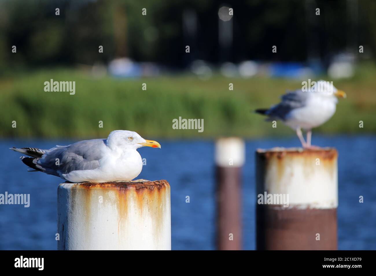 Silver bollards hi-res stock photography and images - Alamy