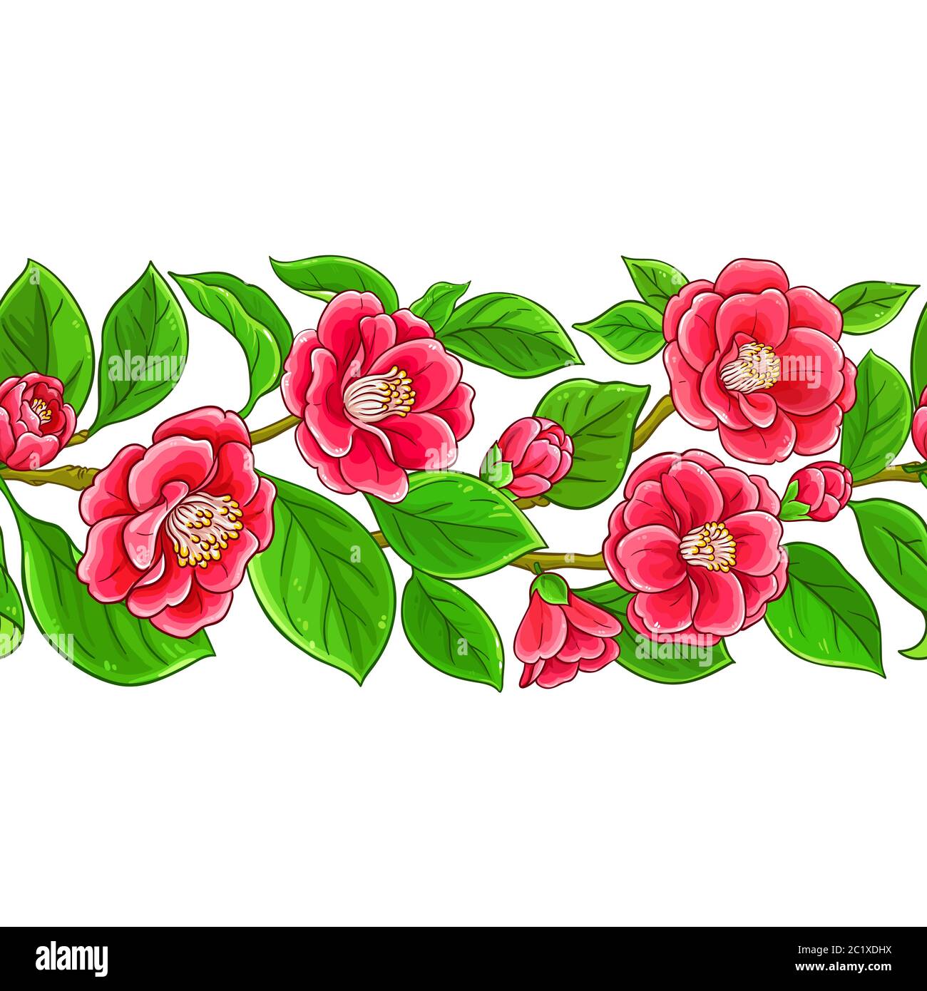 Camellia flower bud in Stock Vector Images - Alamy
