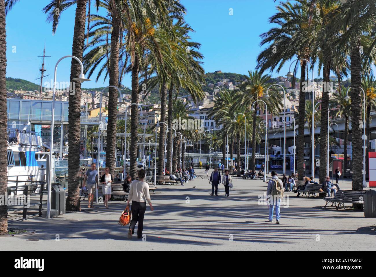 Palmenallee hi-res stock photography and images - Alamy