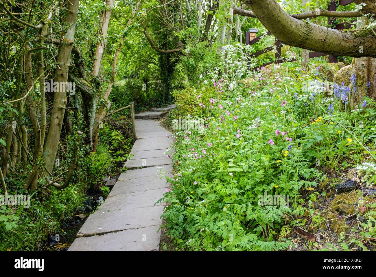 Flagged footpath hi-res stock photography and images - Alamy