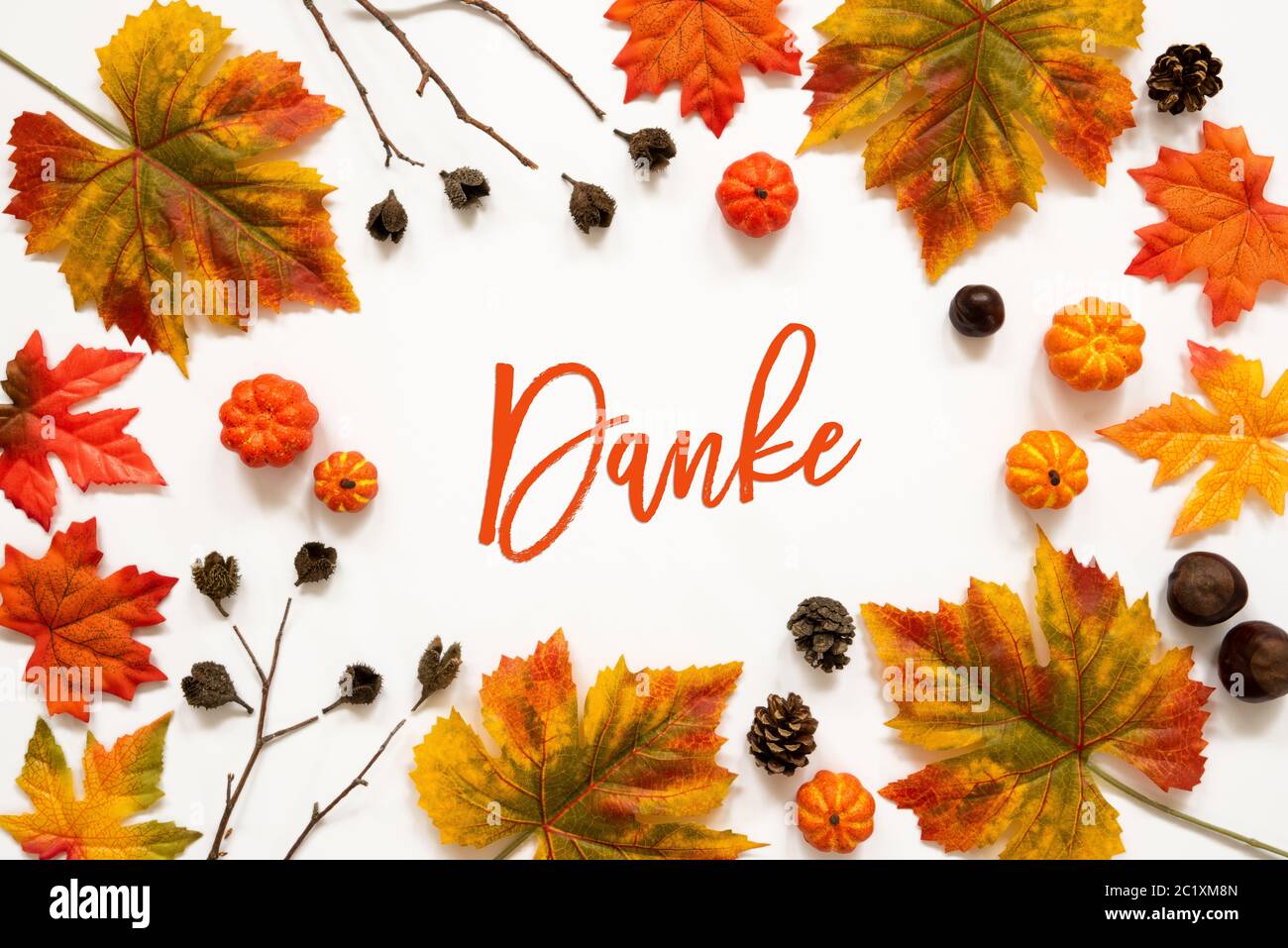 Bright Colorful Autumn Leaf Decoration, German Text Danke Means Thank ...