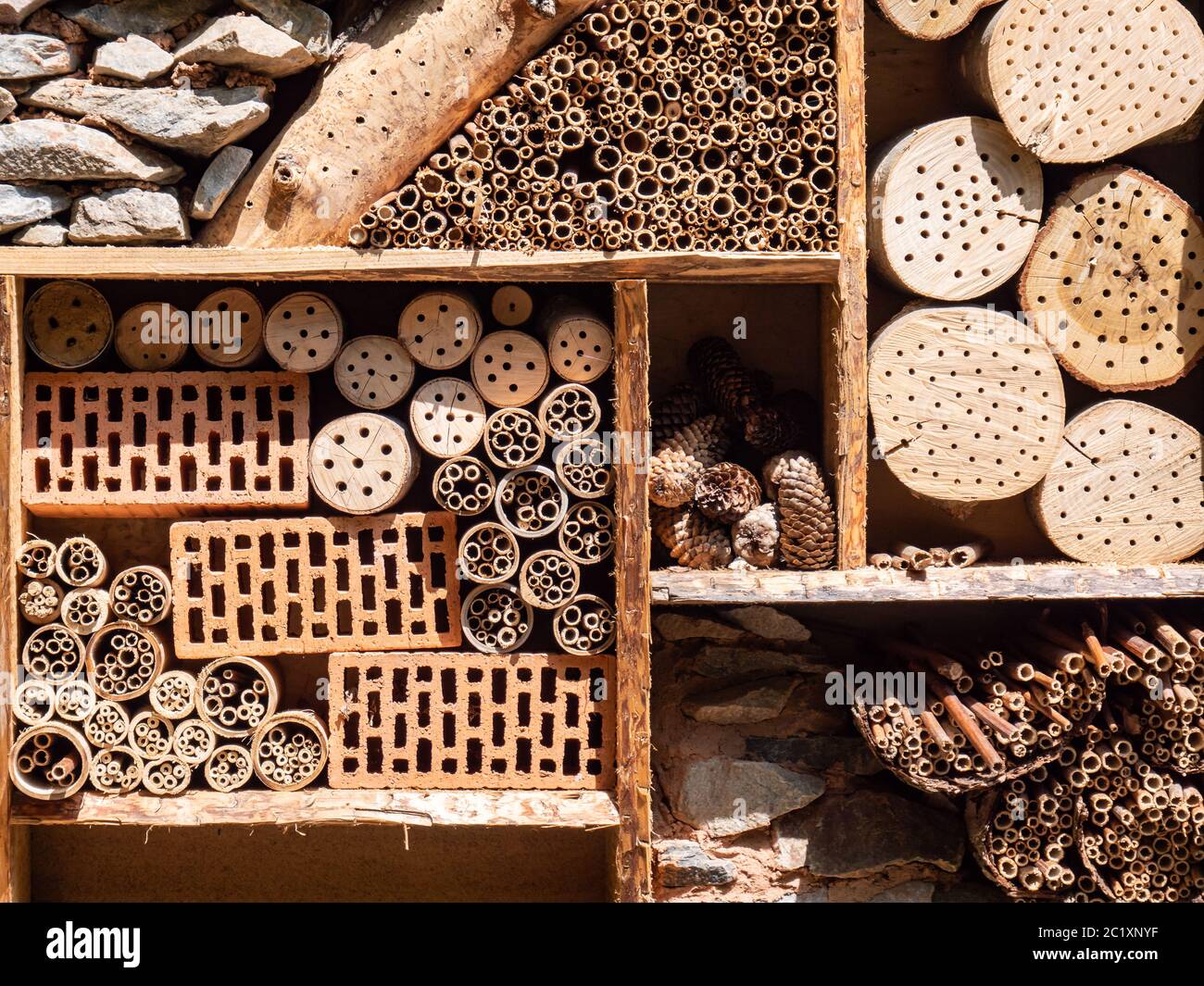 Conservation species hi-res stock photography and images - Alamy