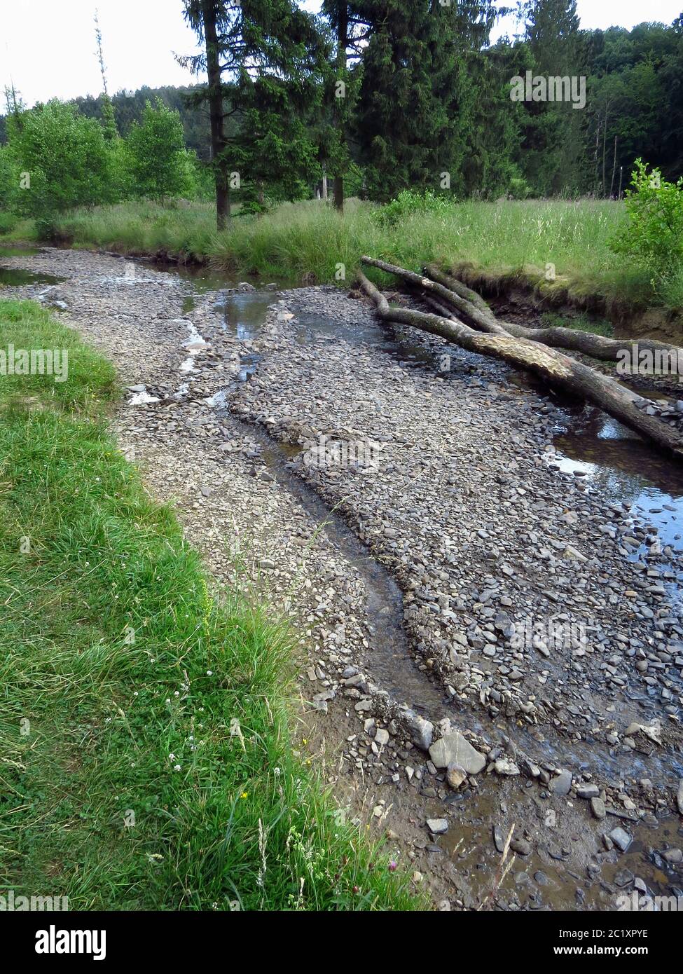 Brook bed, extremely low water, nearly dried out Stock Photo - Alamy