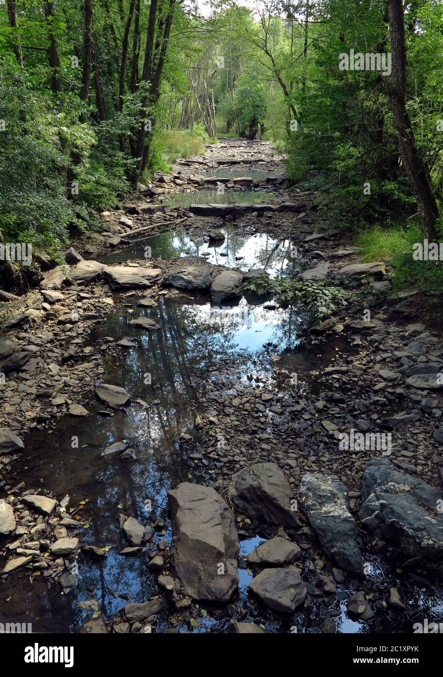 Brook bed, extremely low water, nearly dried out Stock Photo - Alamy