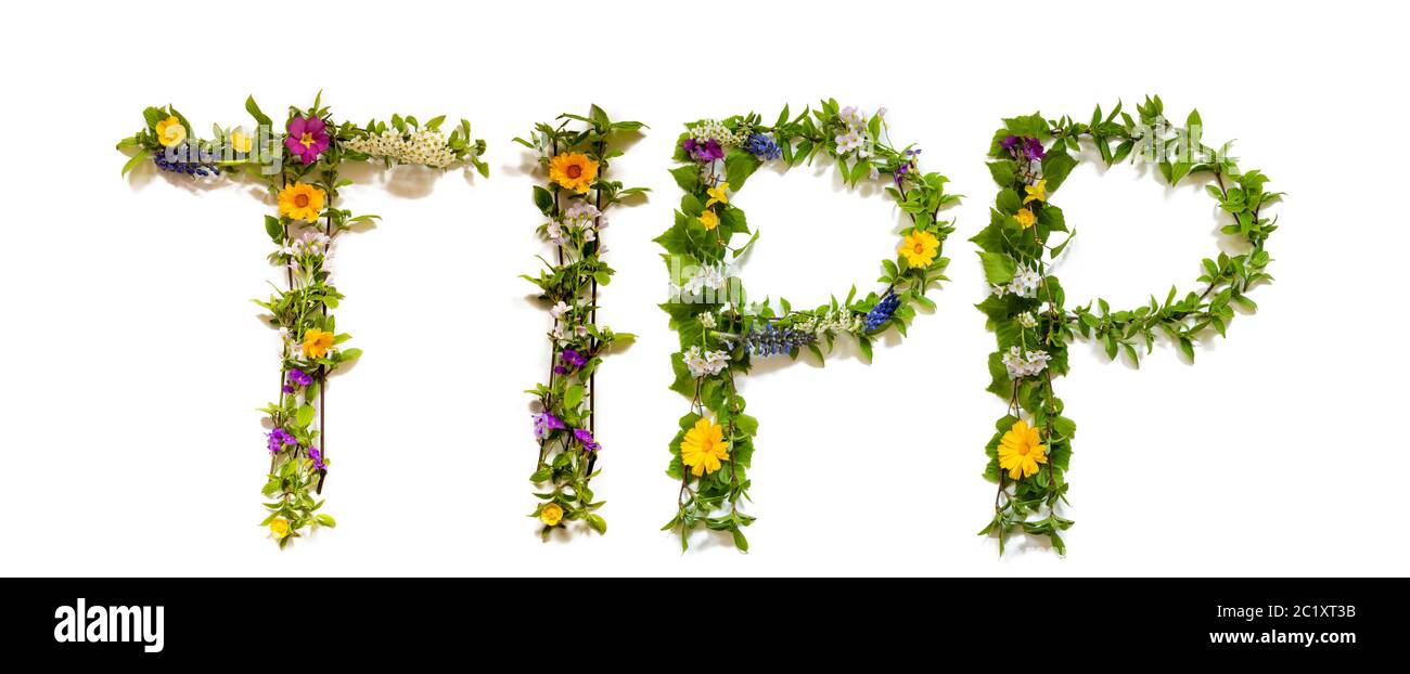 Flower And Blossom Letter Building Word Tipp Means Tip Stock Photo - Alamy