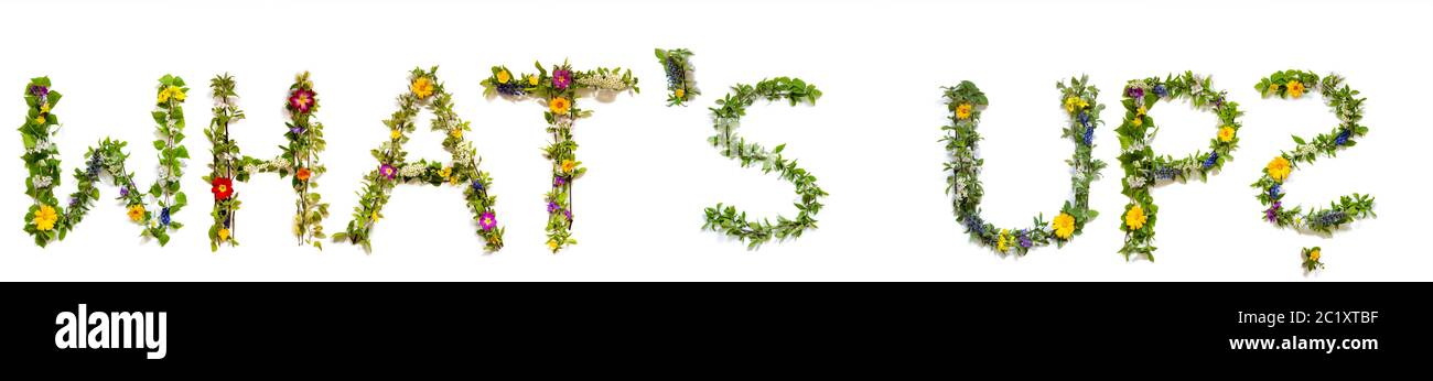 Flower And Blossom Letter Building Word Whats Up Stock Photo - Alamy