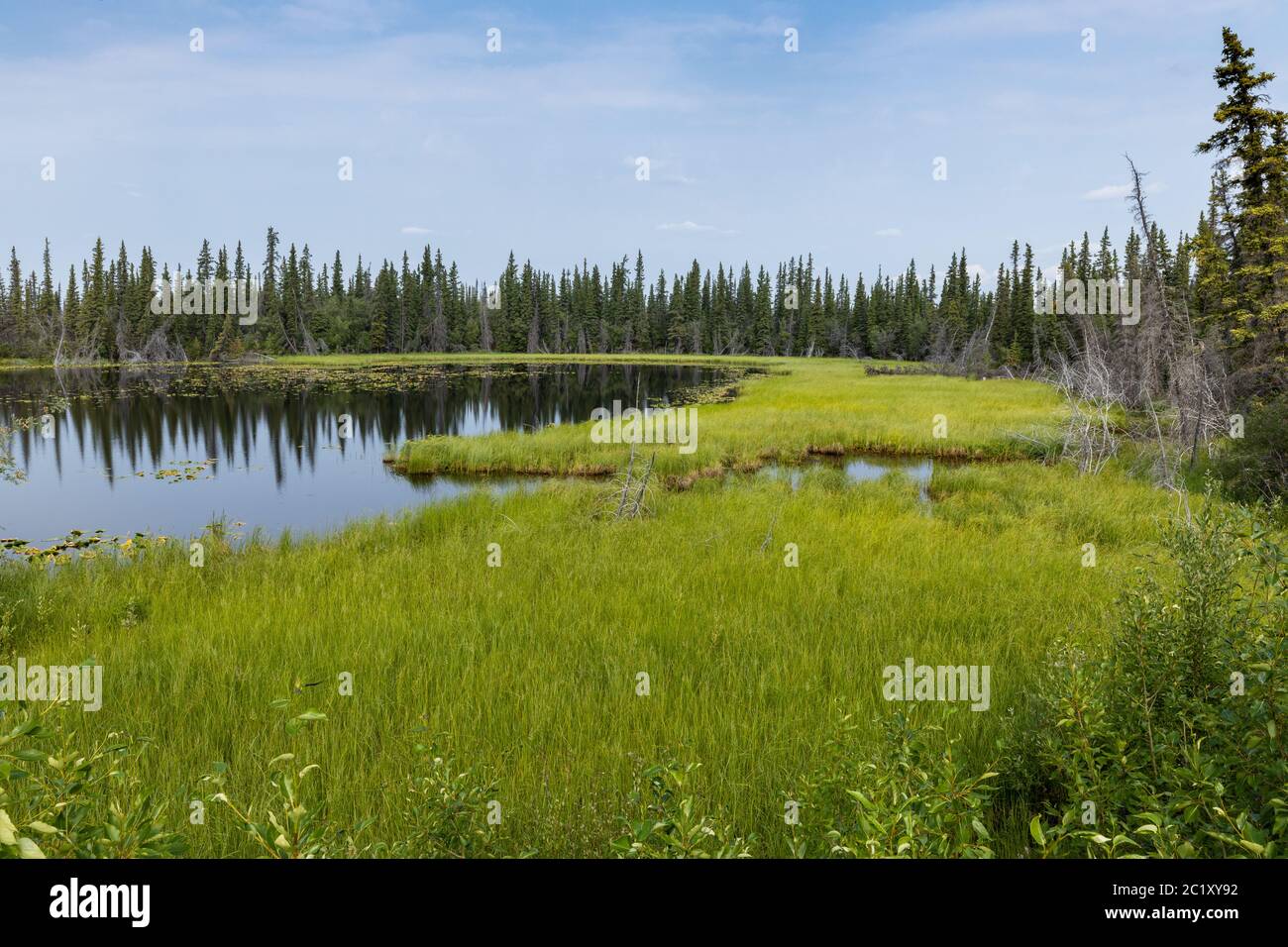 The yukon landscape hi-res stock photography and images - Alamy