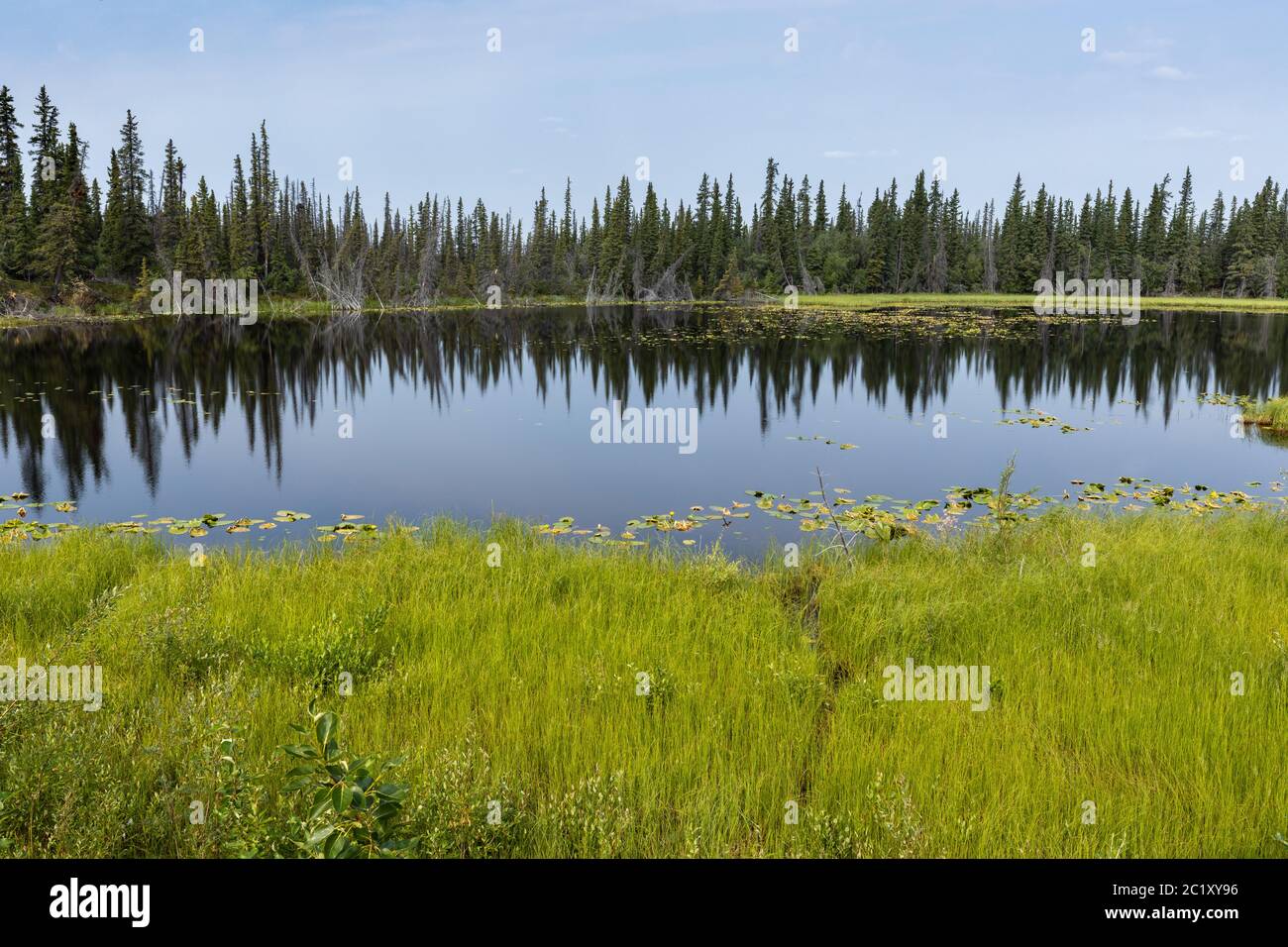 Sea and Landscape in Yukon in Canada Stock Photo - Alamy