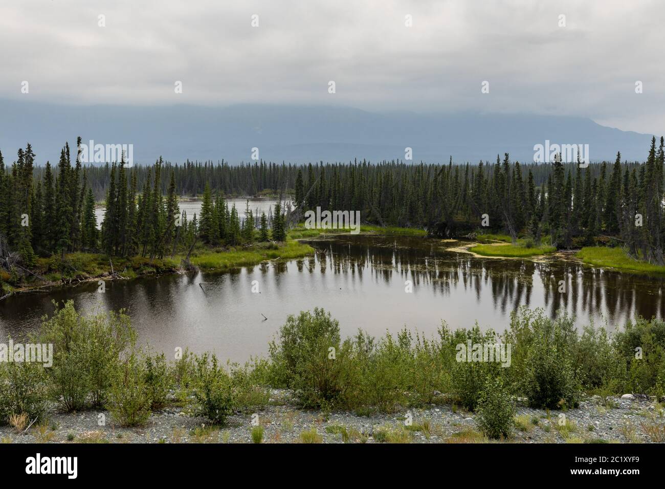 Sea and Landscape in Yukon in Canada Stock Photo - Alamy