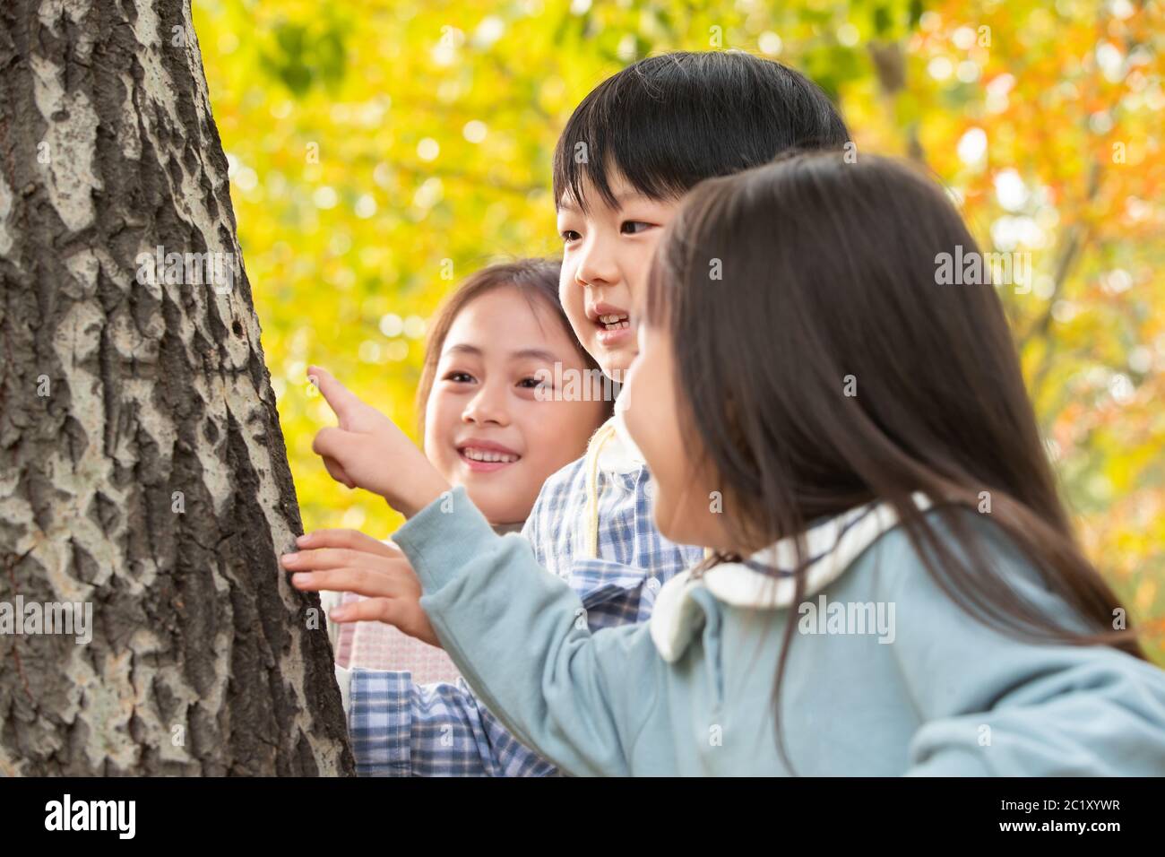 Children observe park hi-res stock photography and images - Alamy
