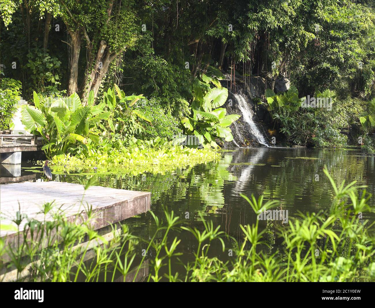 Beautiful little waterfall hi-res stock photography and images - Alamy