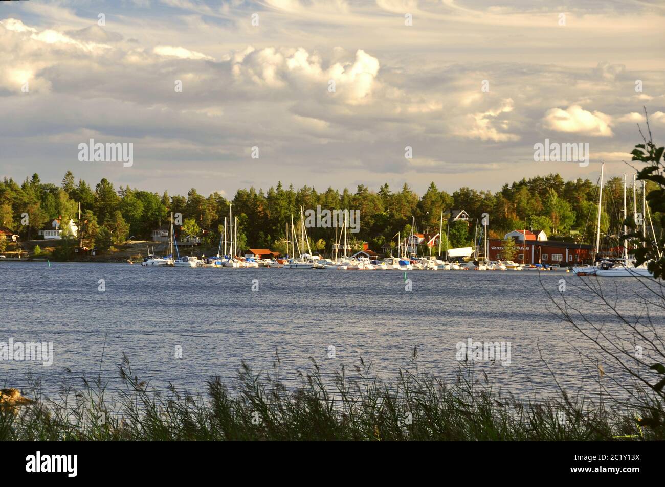 Garden of Sherries Stock Photo - Alamy