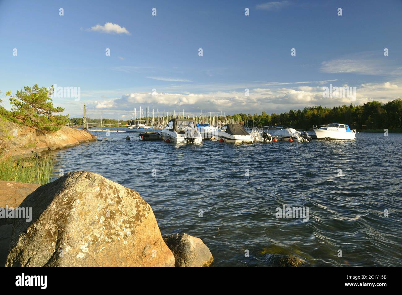 Garden of Sherries Stock Photo - Alamy